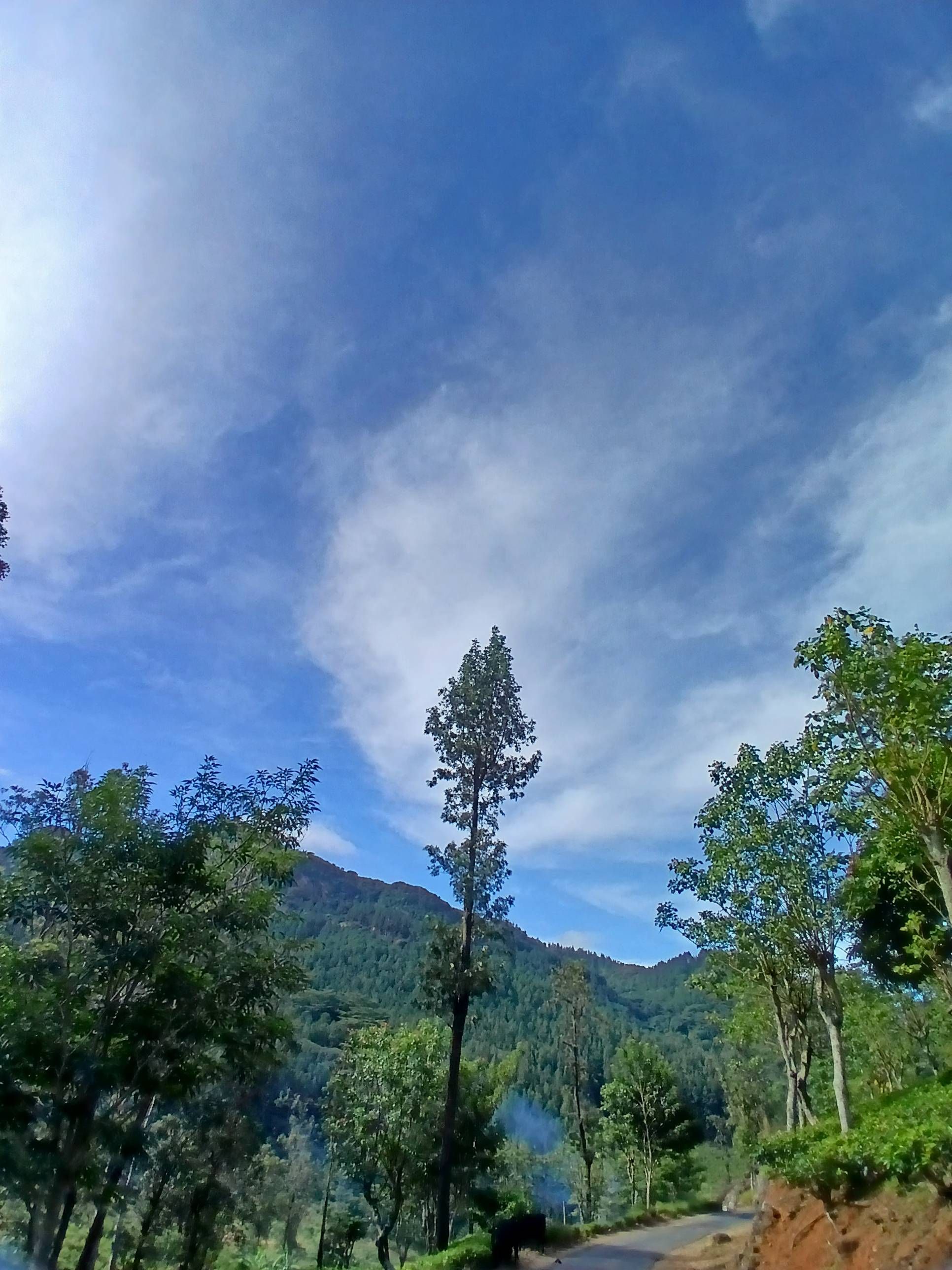 Riverston,Sri lanka - Samsung Members