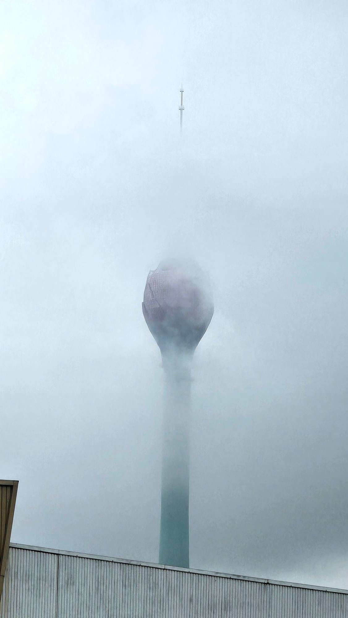 Misty Lotus Tower, 20X S23U - Samsung Members