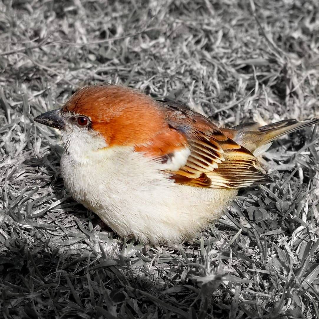 🫶🏻🍂 - Samsung Members