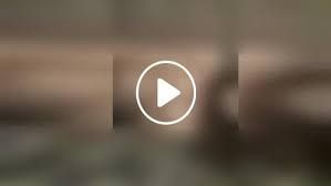 Dolphin Ayan Video - Samsung Members