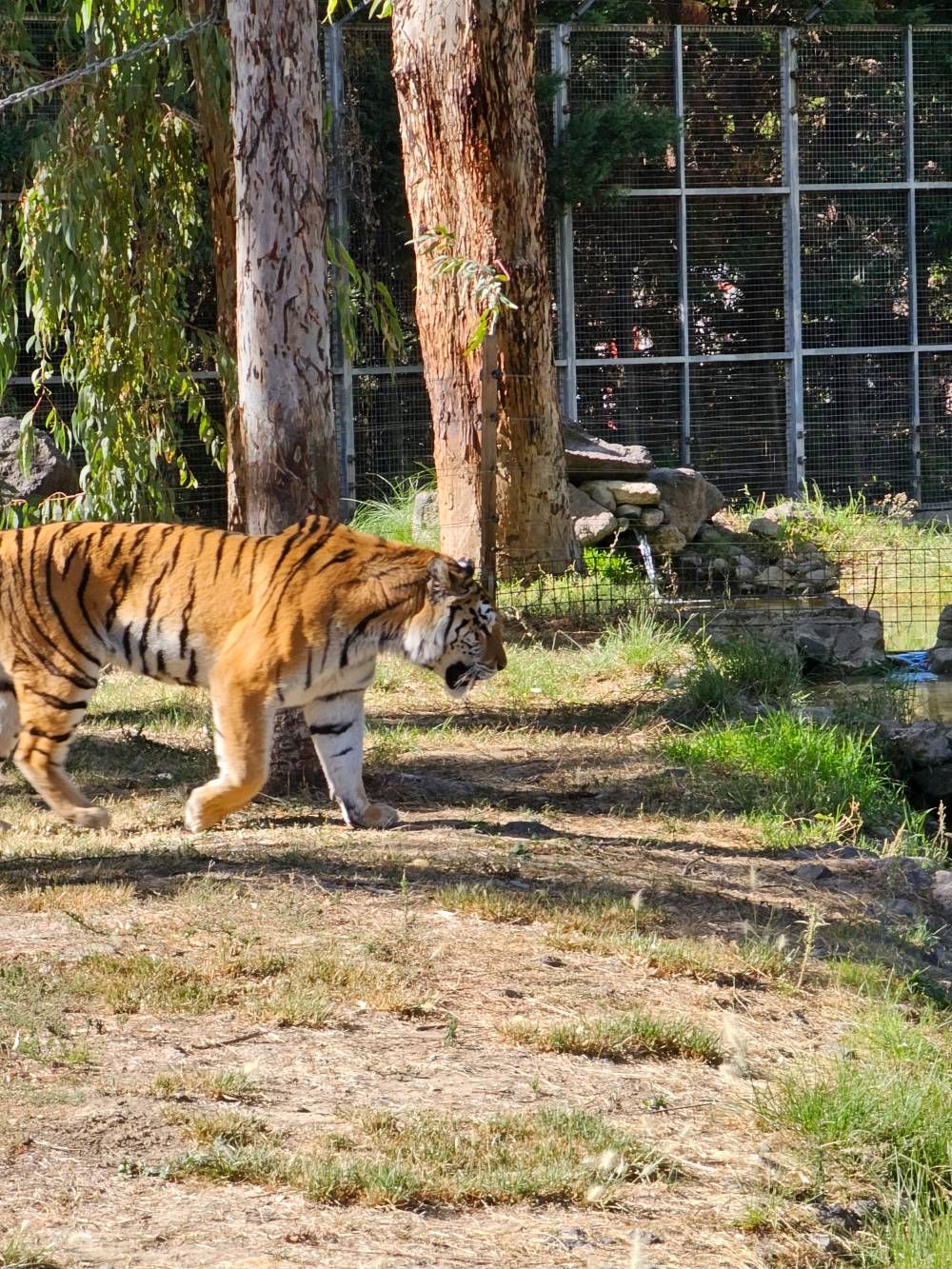 Zoo - Samsung Members