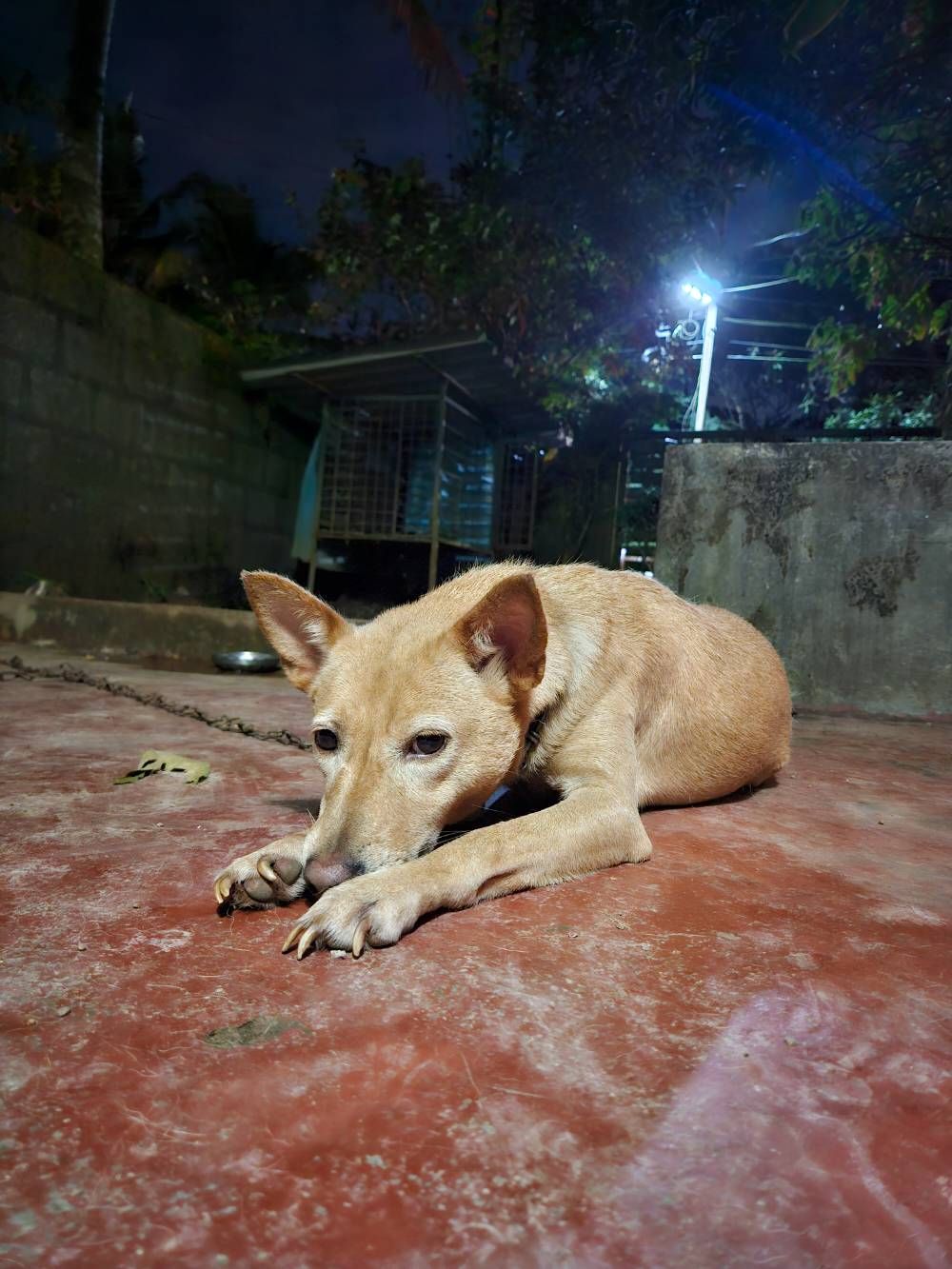 Solved: Sammy photos - Samsung Members