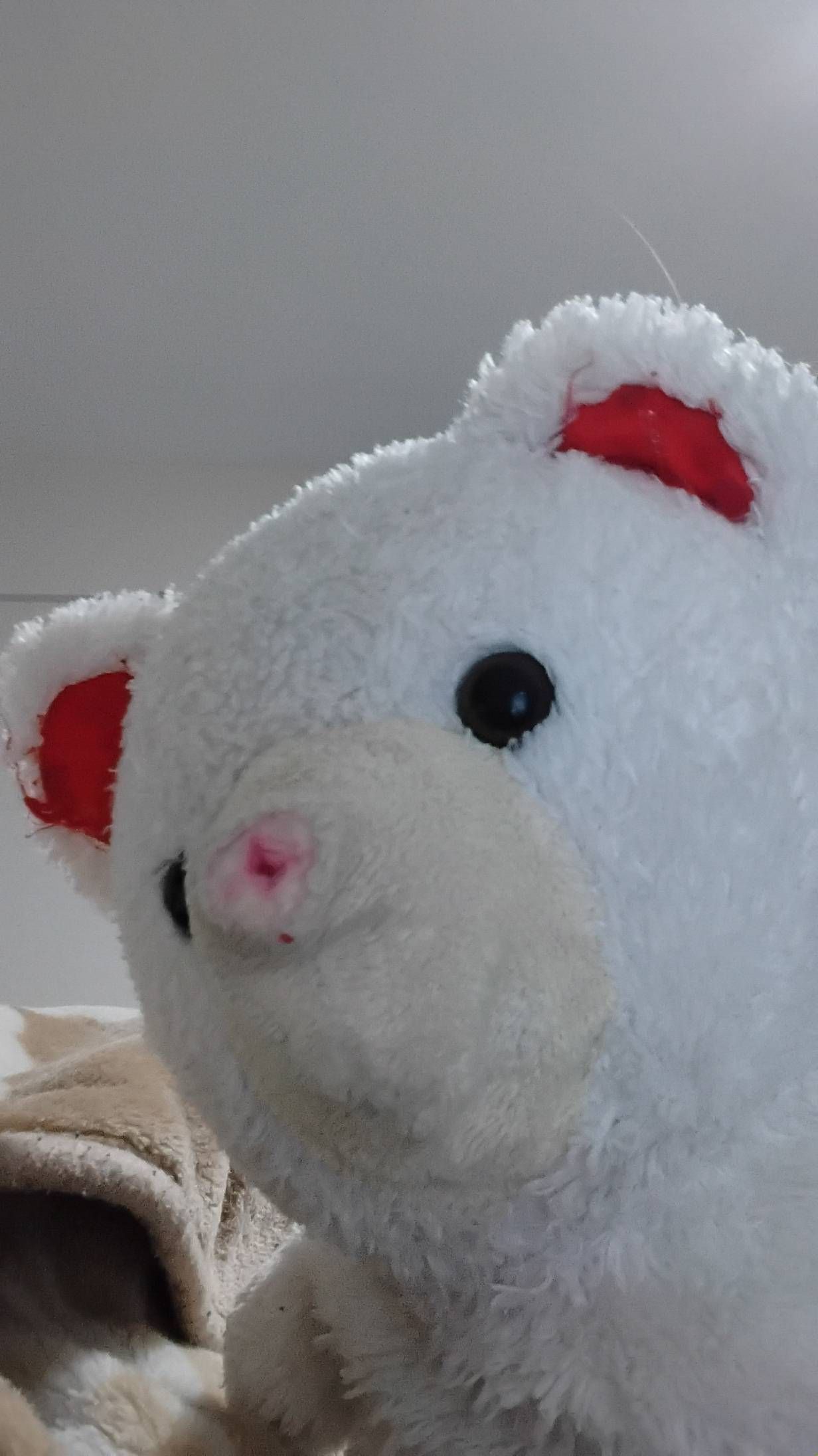 ÇINAR - Samsung Members