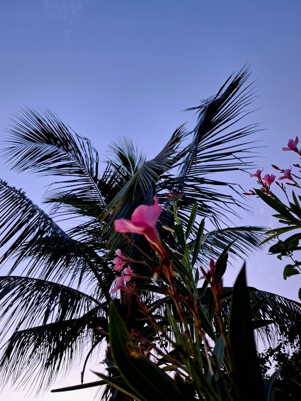 Medication – Track your medication intake from Sam... - Samsung Members