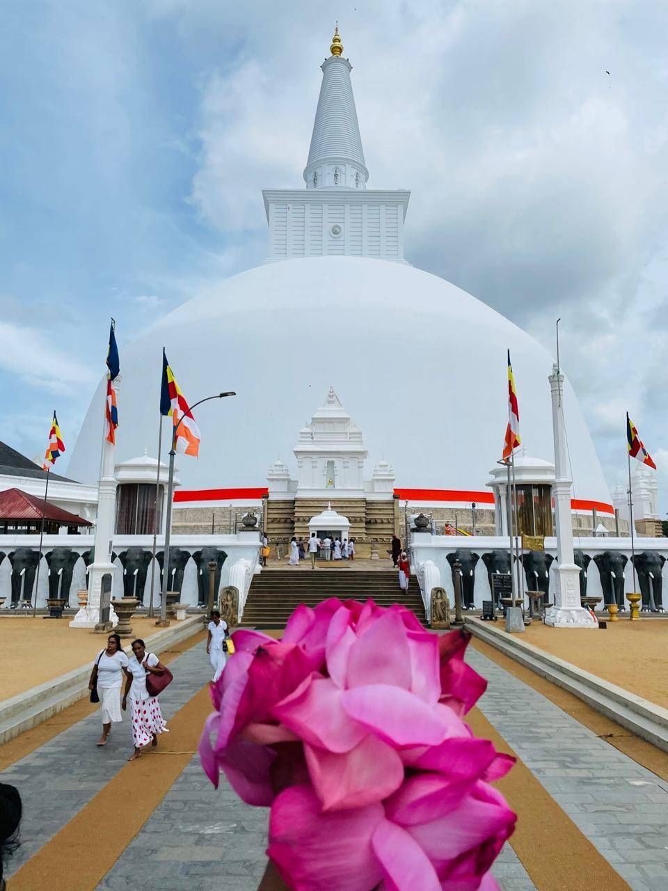 Ruwan wali maha saya💐💐 - Samsung Members