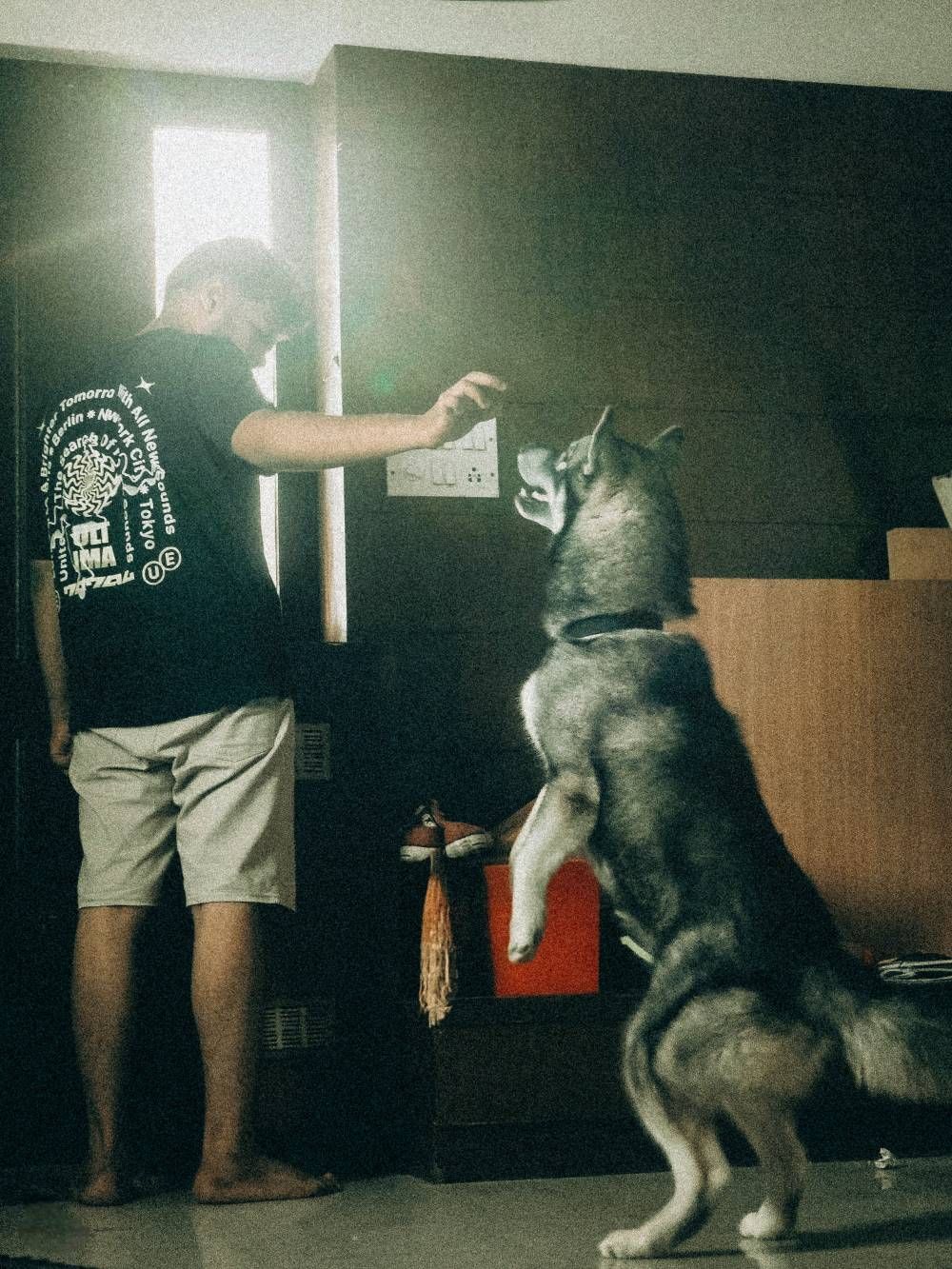 This is so pure! I love seeing dogs this happy. - Samsung Members