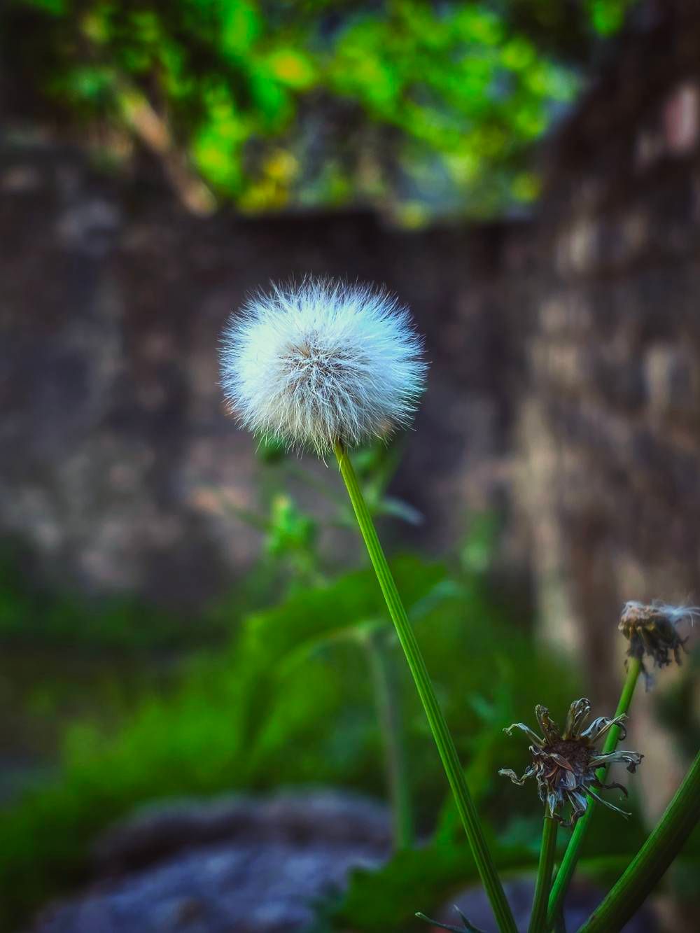 [Contest Alert] - Galaxy S25 Series Review Contest... - Samsung Members