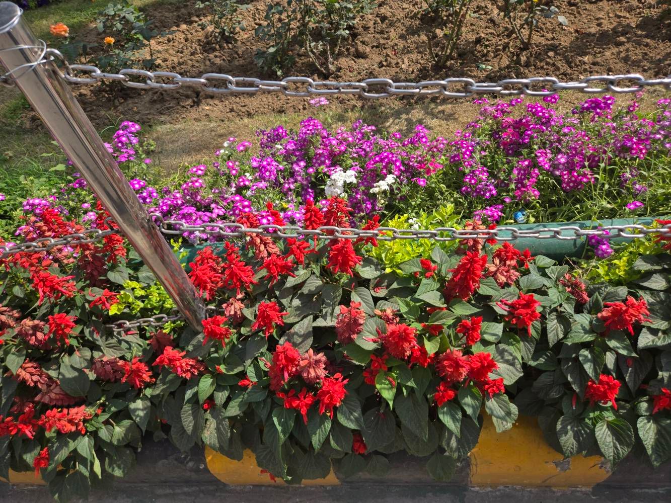 Seasons Blessings - Samsung Members