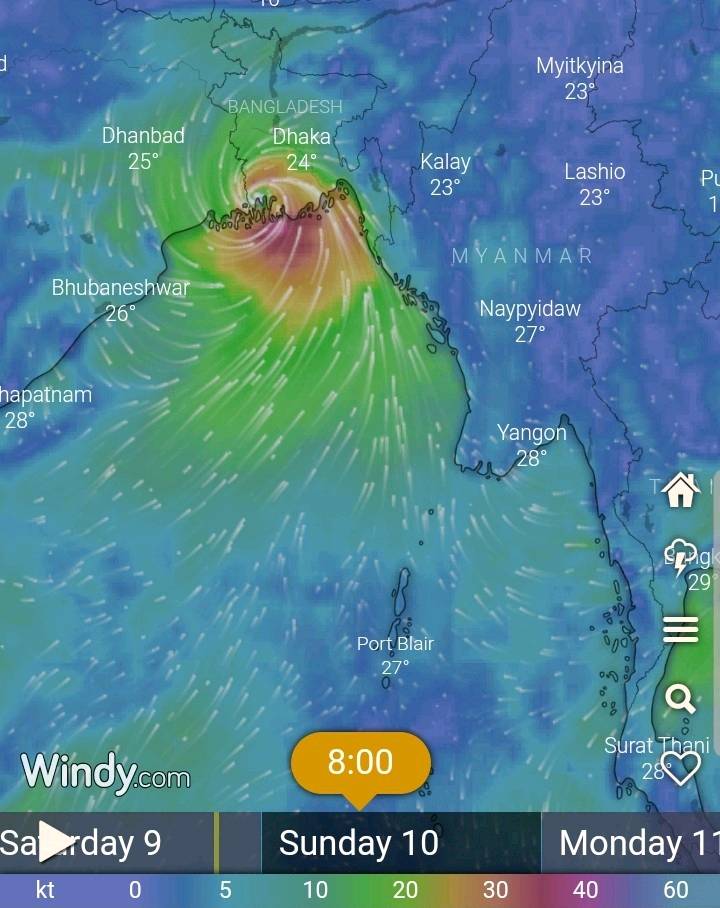 Bulbul Cyclone - Samsung Members