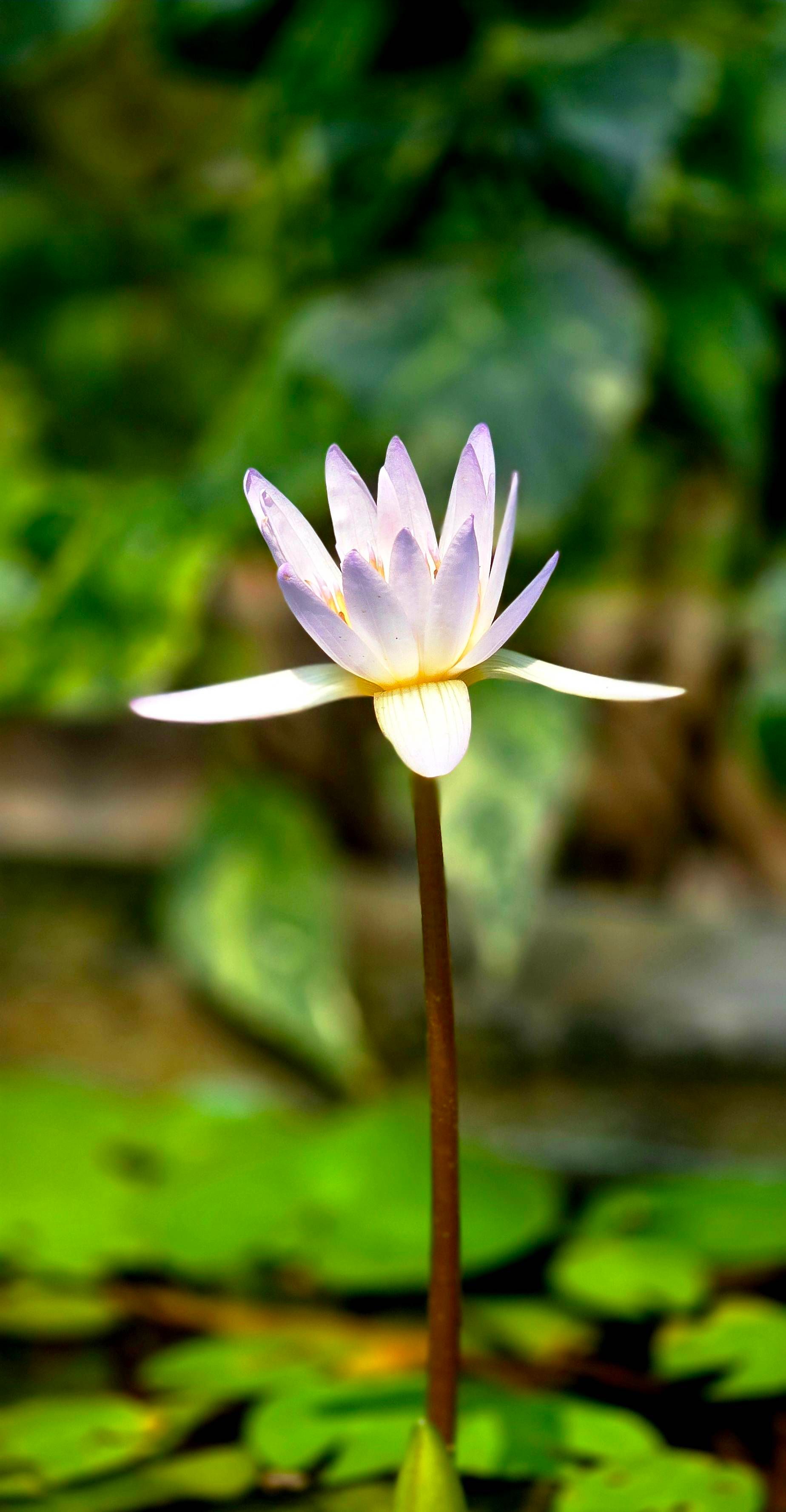 Click - Samsung Members