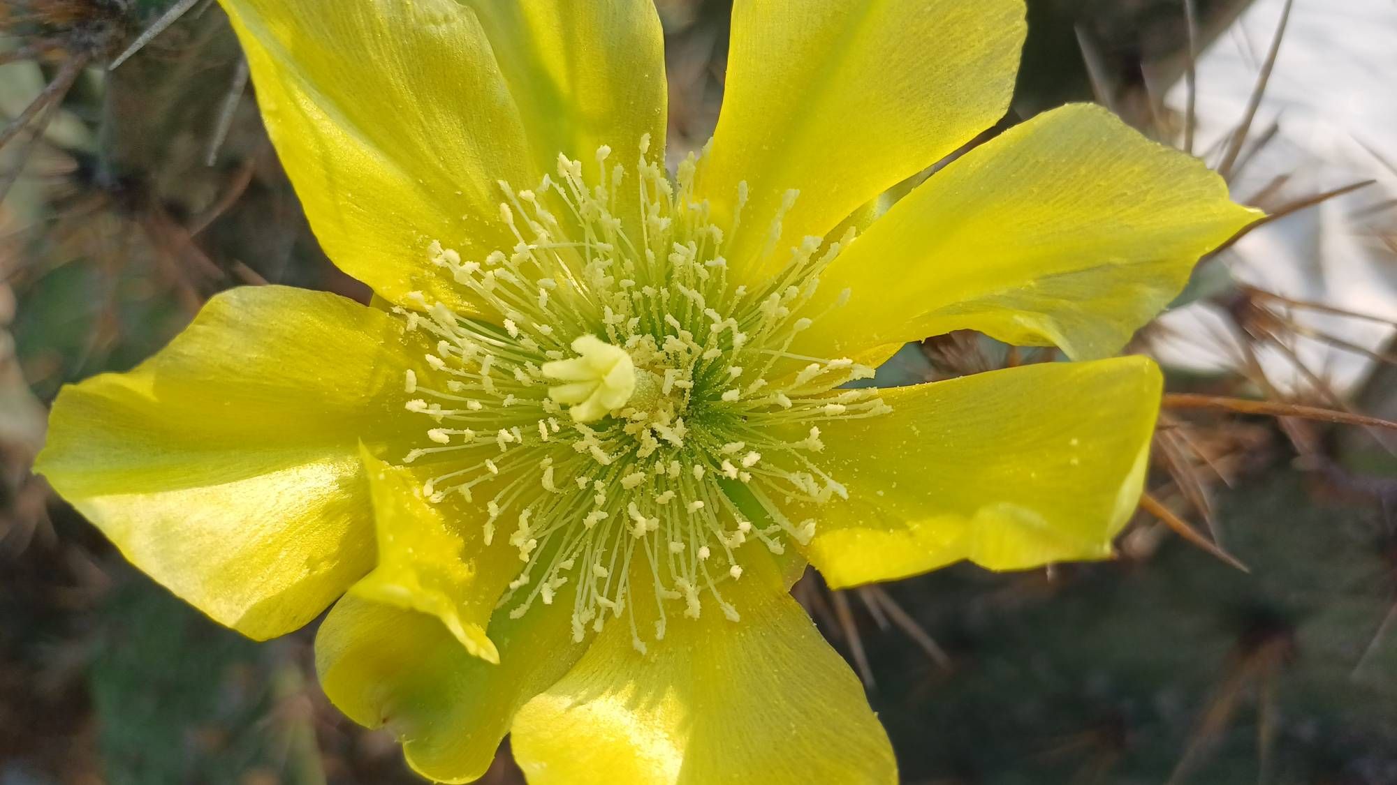 A34 photography - Samsung Members