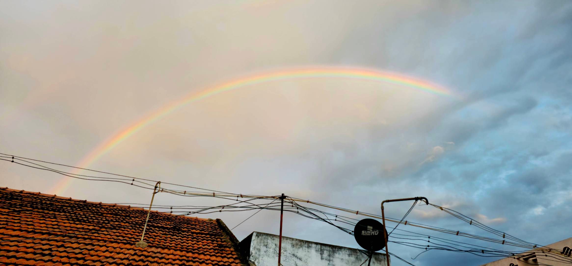 Rainbow - Samsung Members