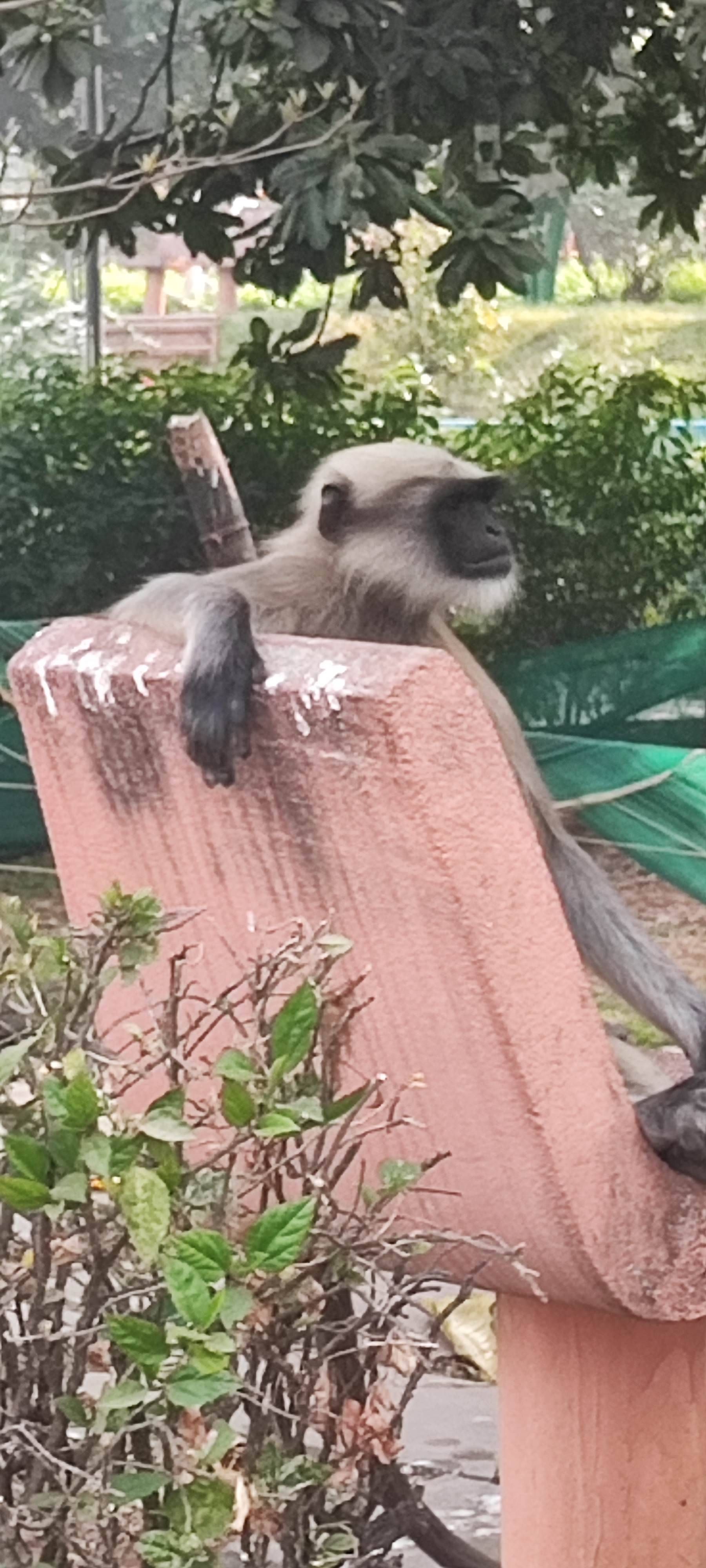 This is my chair - Samsung Members