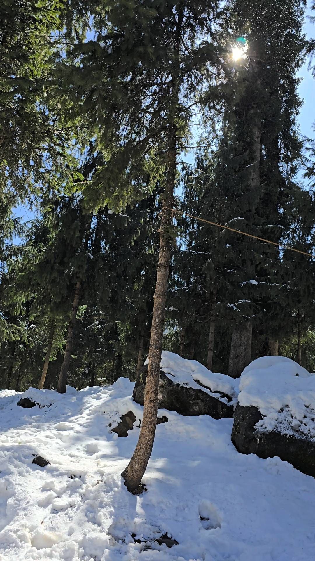 Snow! - Samsung Members