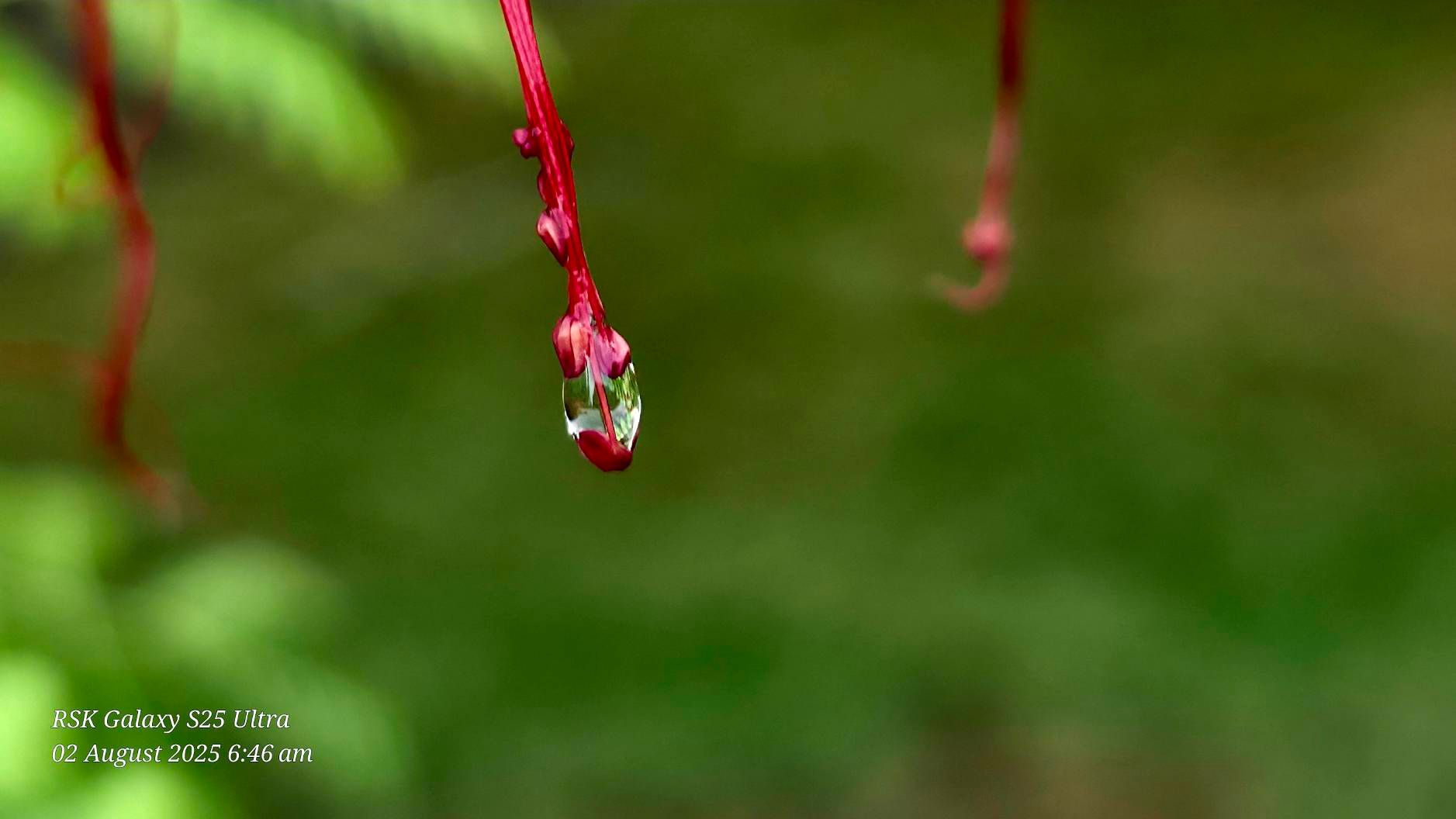 Raindrop inspired for the camera lens - Samsung Members