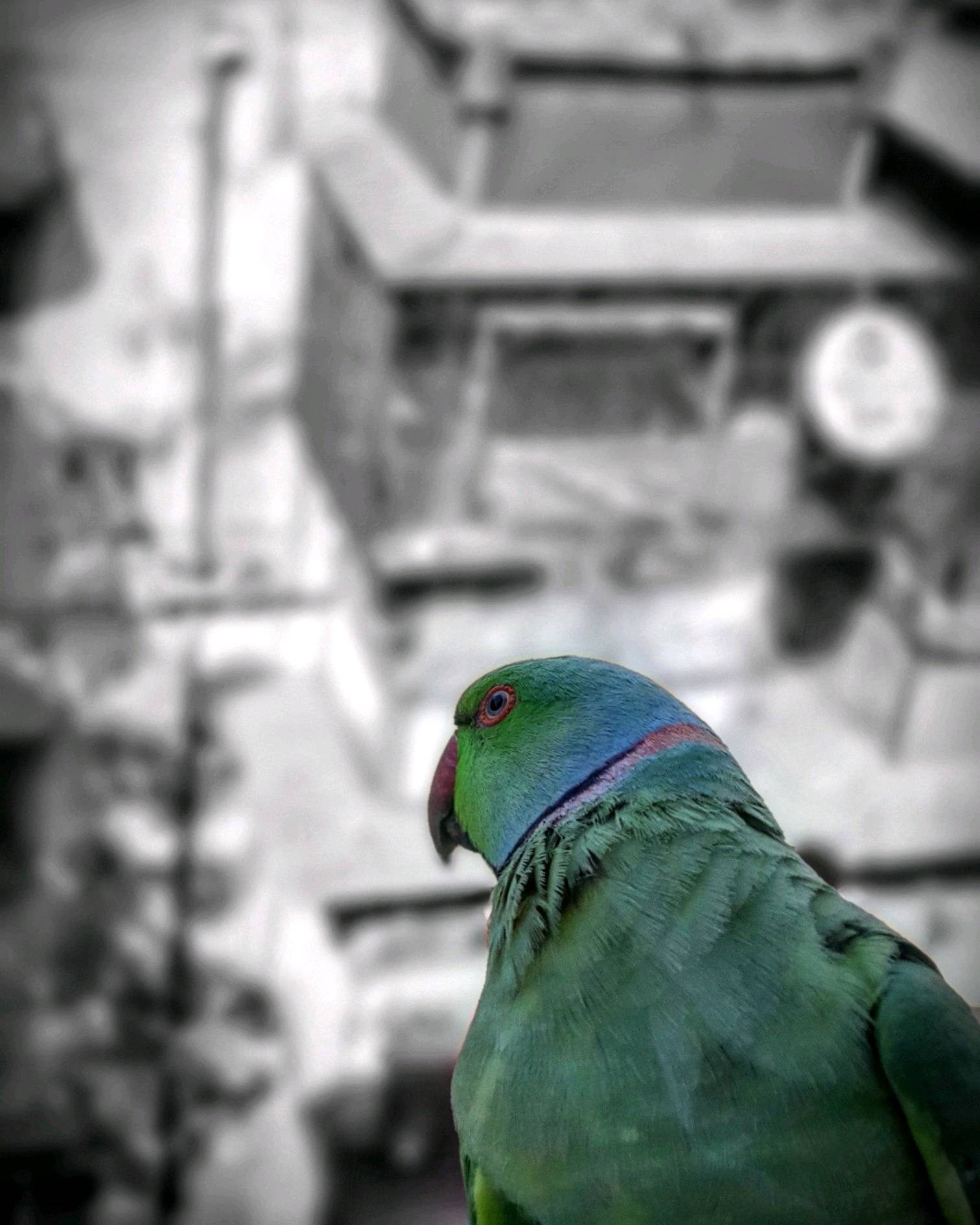 Note 10 photography.https://www.instagram.com/p/B6... - Samsung Members