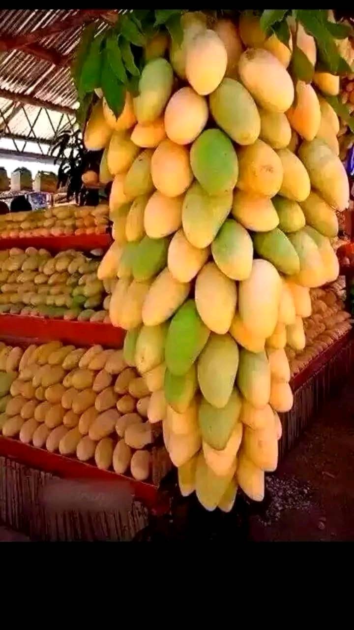 mango - Samsung Members