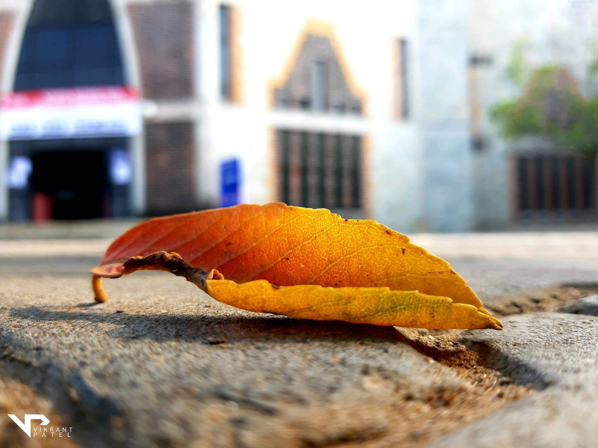 click click - Samsung Members