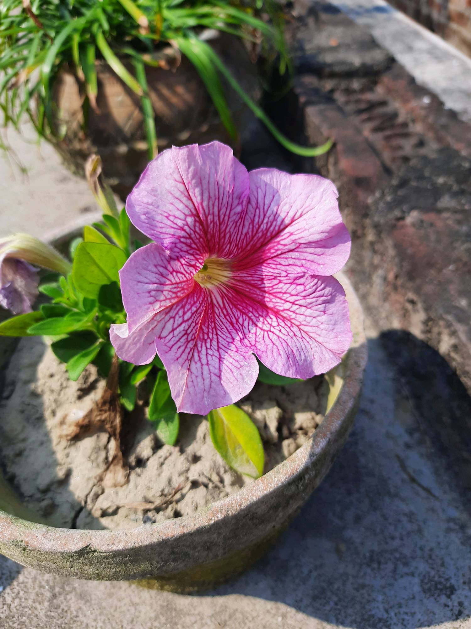 M30s camera samples - Samsung Members