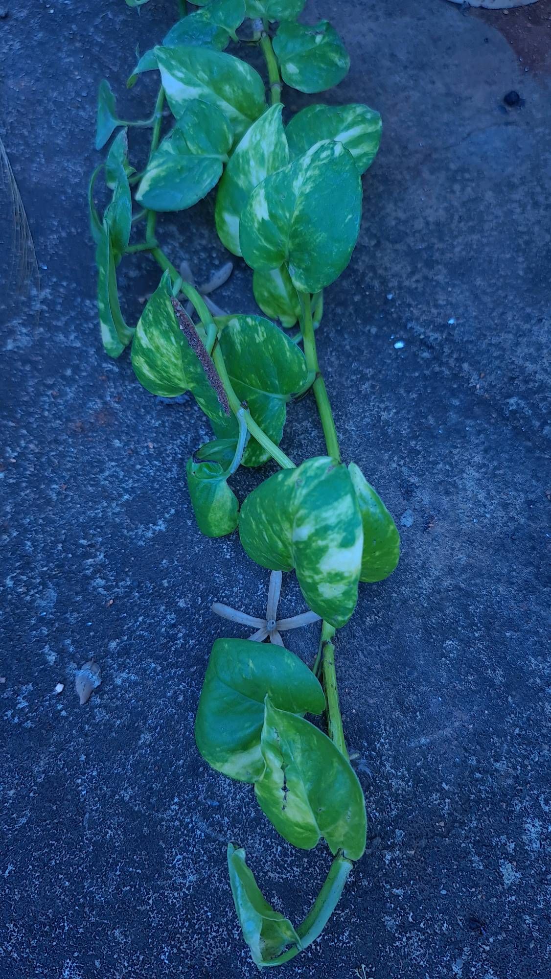 Taken on my S20 Ultra Pro mode - Samsung Members