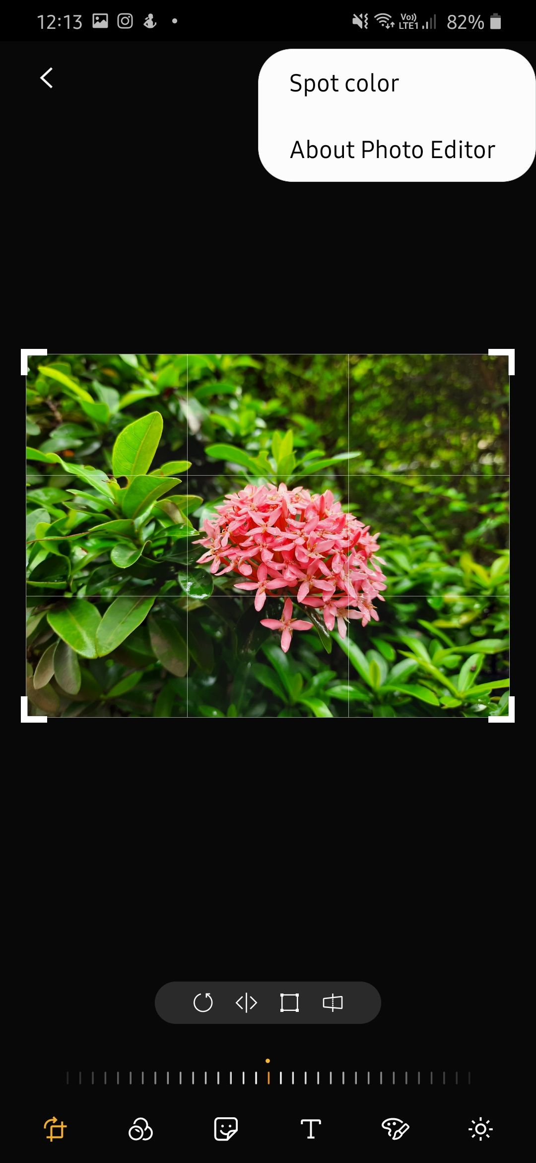 Turn Your Photos Using Inbuilt Photo Editor - Samsung Members