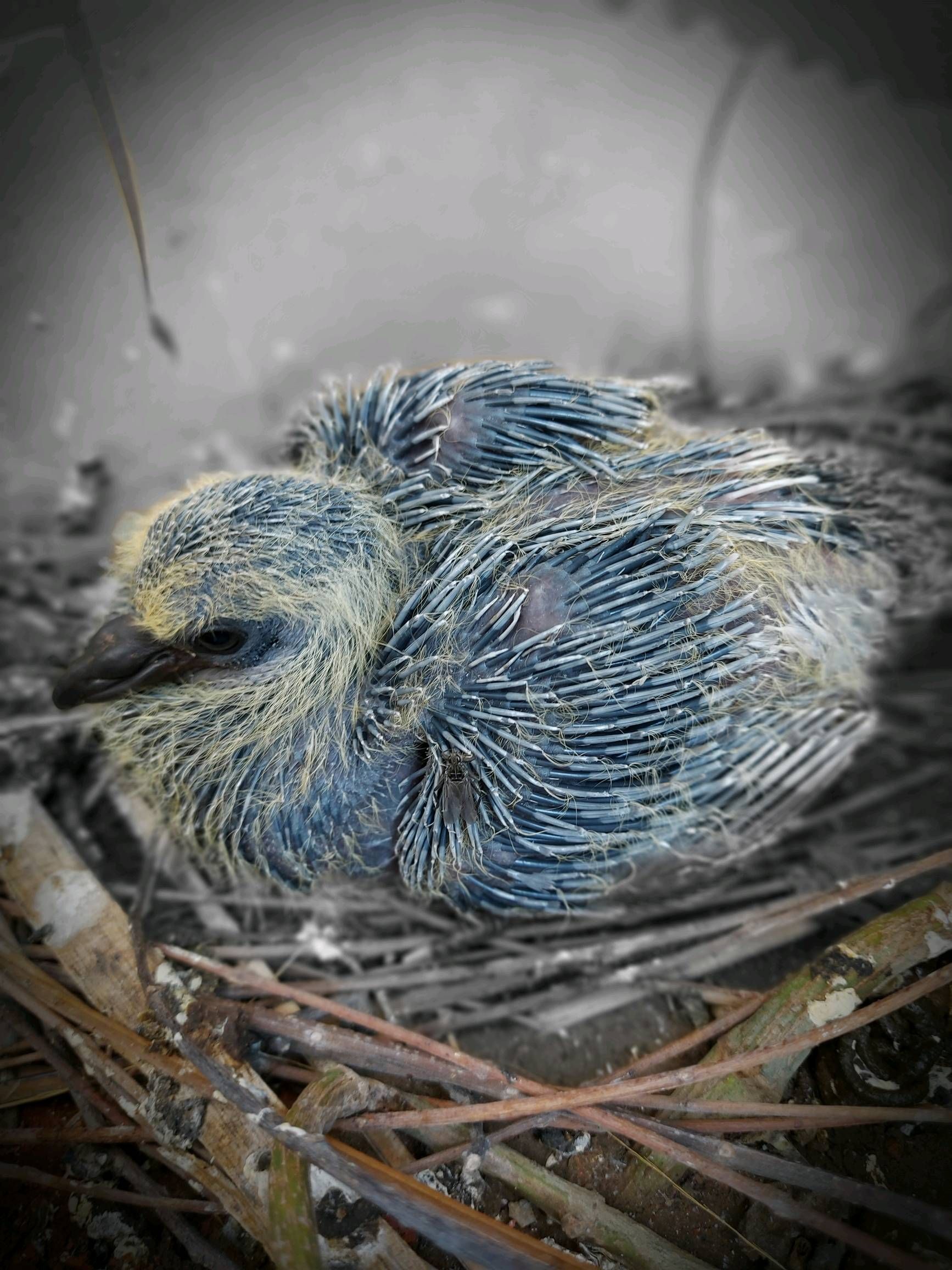 Photography #withGalaxy - Samsung Members